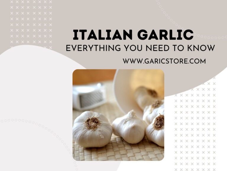 Italian Garlic [A to Z Explanation] - Garlic Store