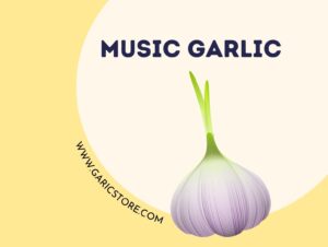 Music Garlic [Everything You Need To Know] - Garlic Store