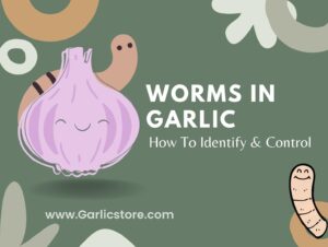 Worms In Garlic: How To Identify & Control - Garlic Store