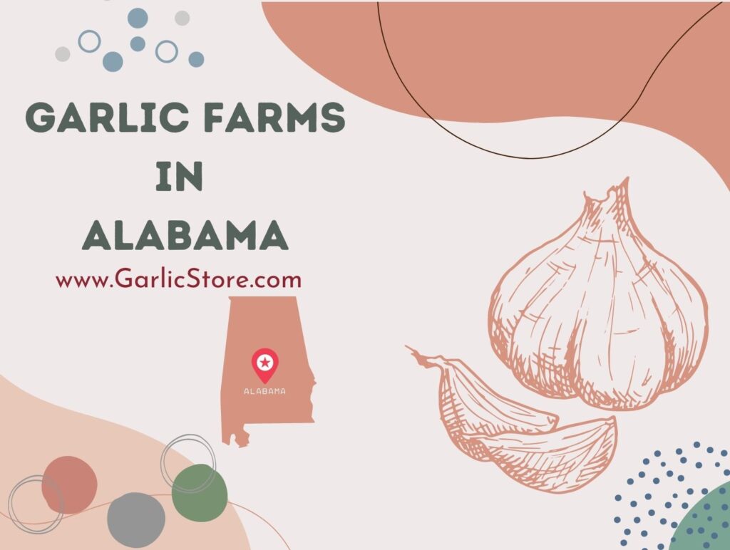 Garlic Farms - Garlic Store
