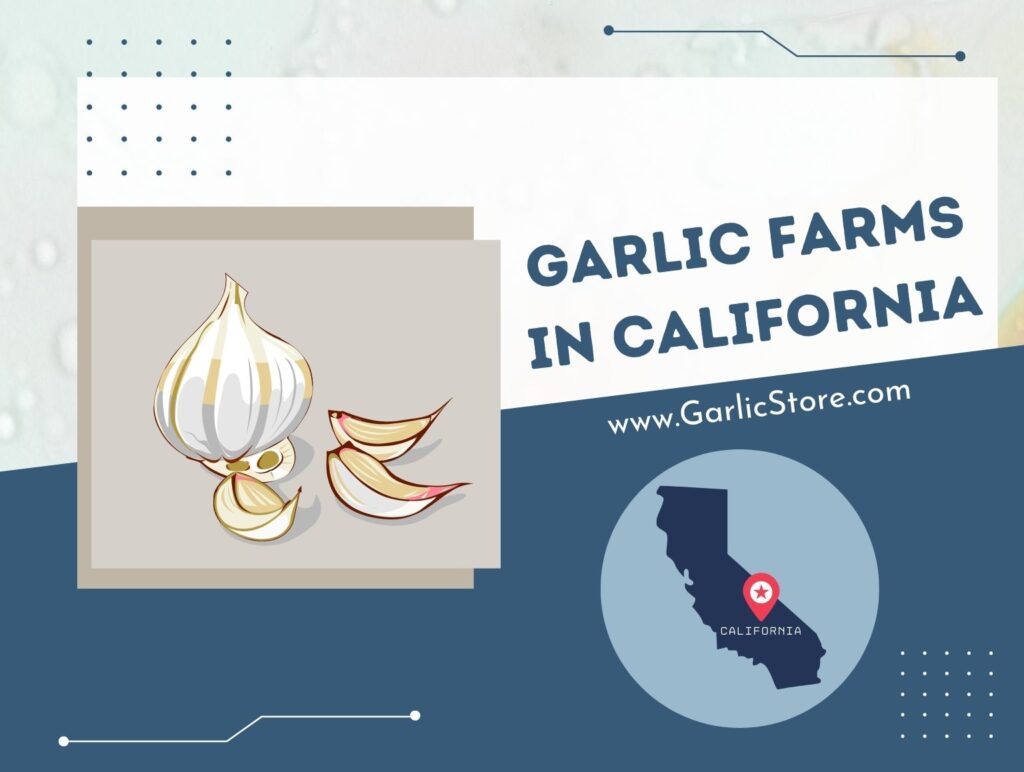 Garlic Farms - Garlic Store