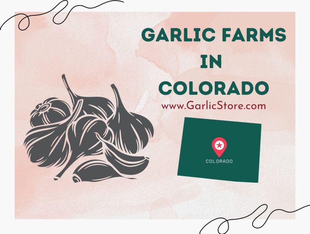 Garlic Farms - Garlic Store