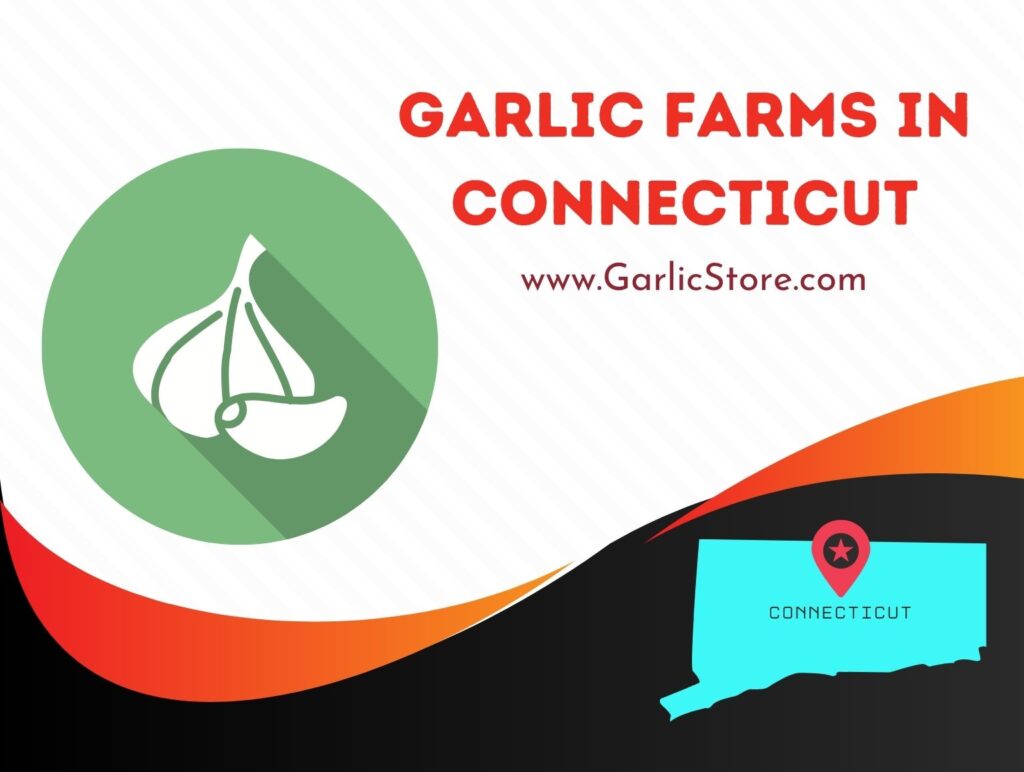 Garlic Farms - Garlic Store