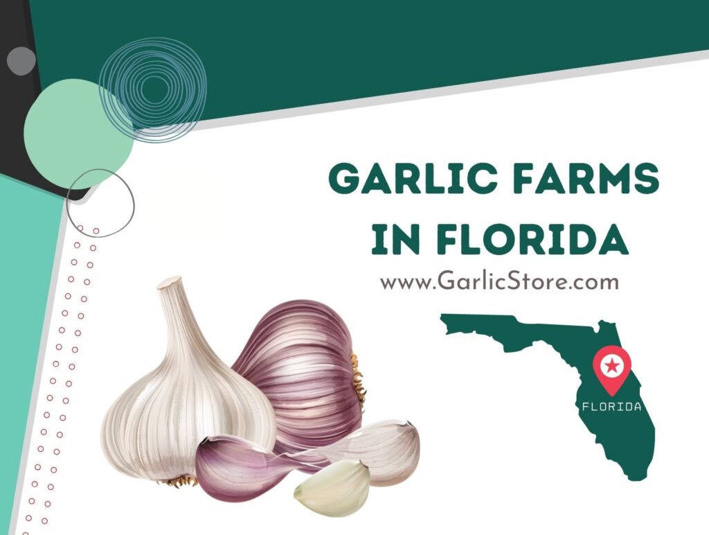 Garlic Farms - Garlic Store