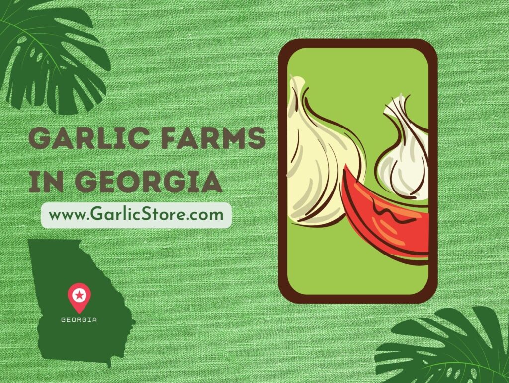 Garlic Farms - Garlic Store