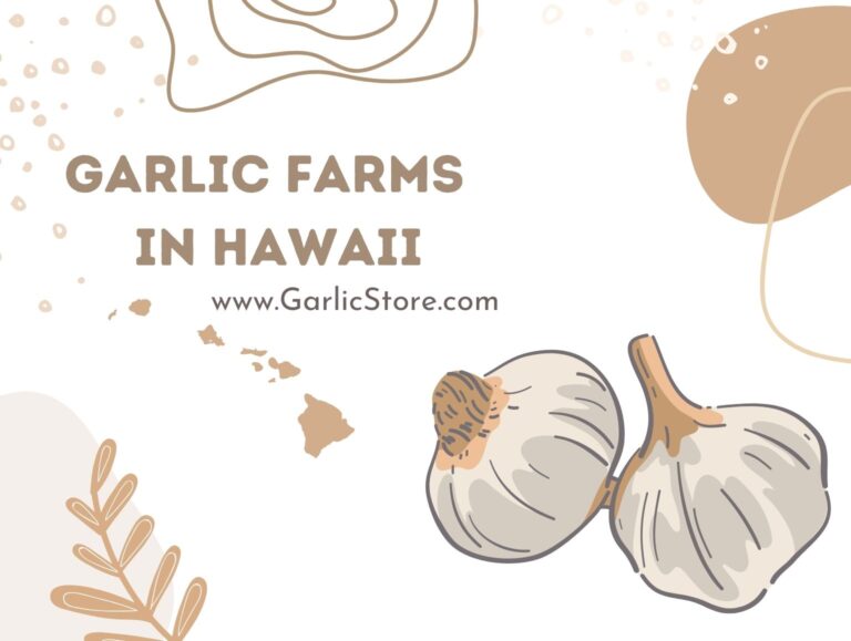 Garlic Farms - Garlic Store