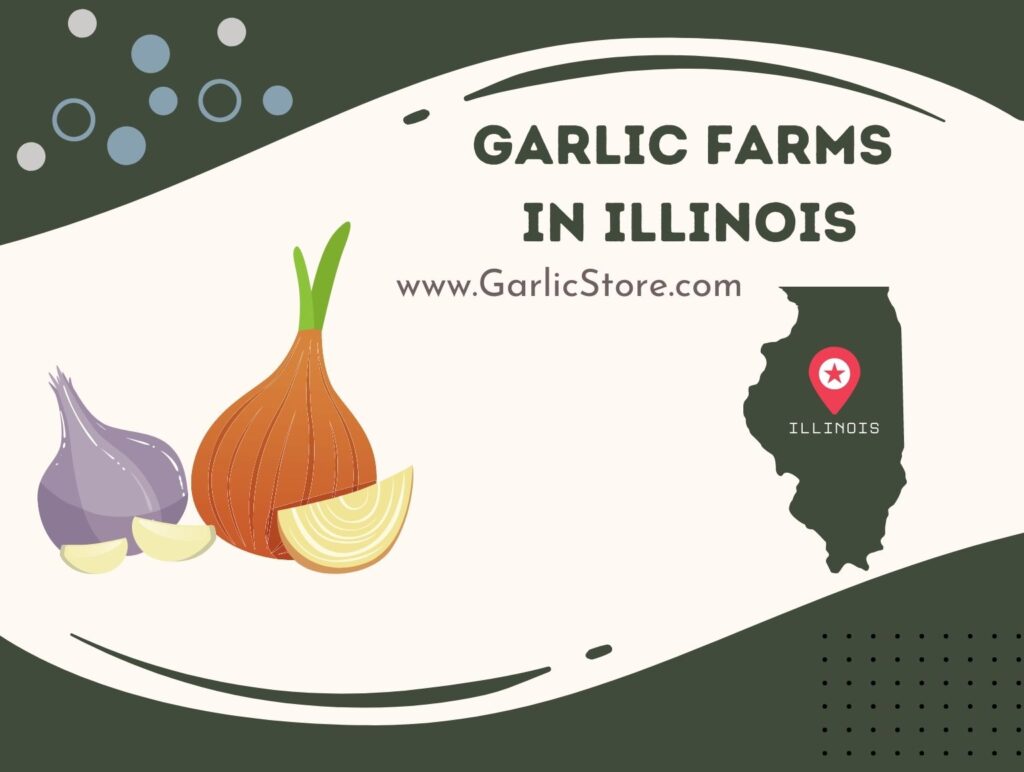 Garlic Farms - Garlic Store