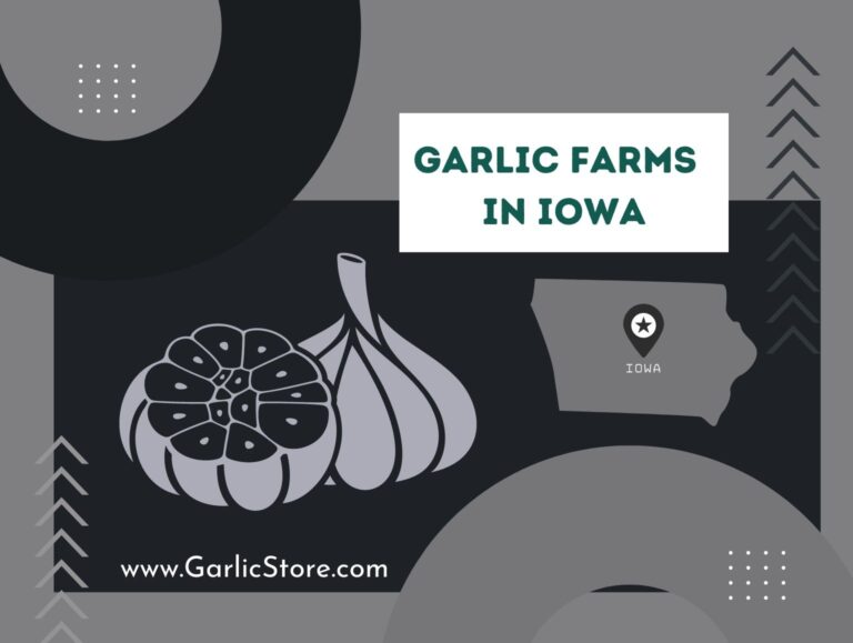 Garlic Farms - Garlic Store
