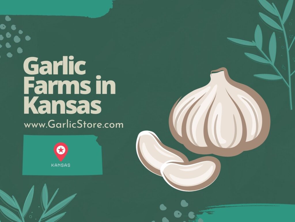Garlic Farms - Garlic Store
