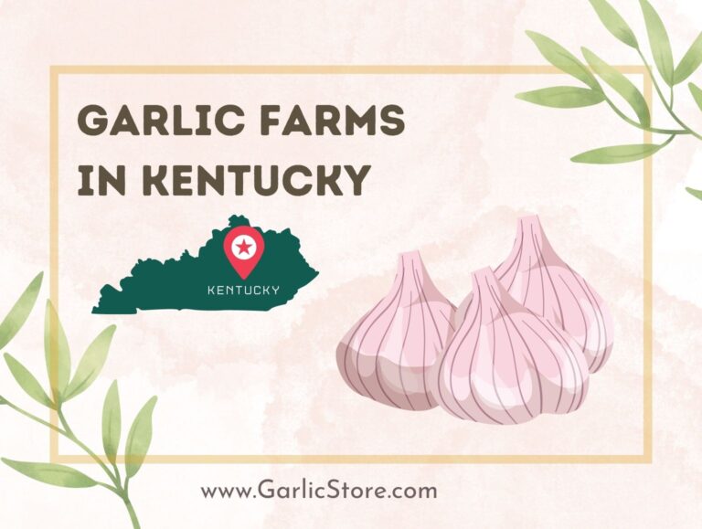 Garlic Farms - Garlic Store