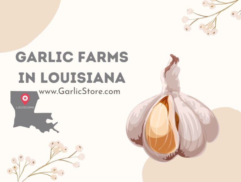 Garlic Farms - Garlic Store