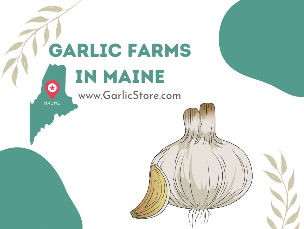 Garlic Farms - Garlic Store