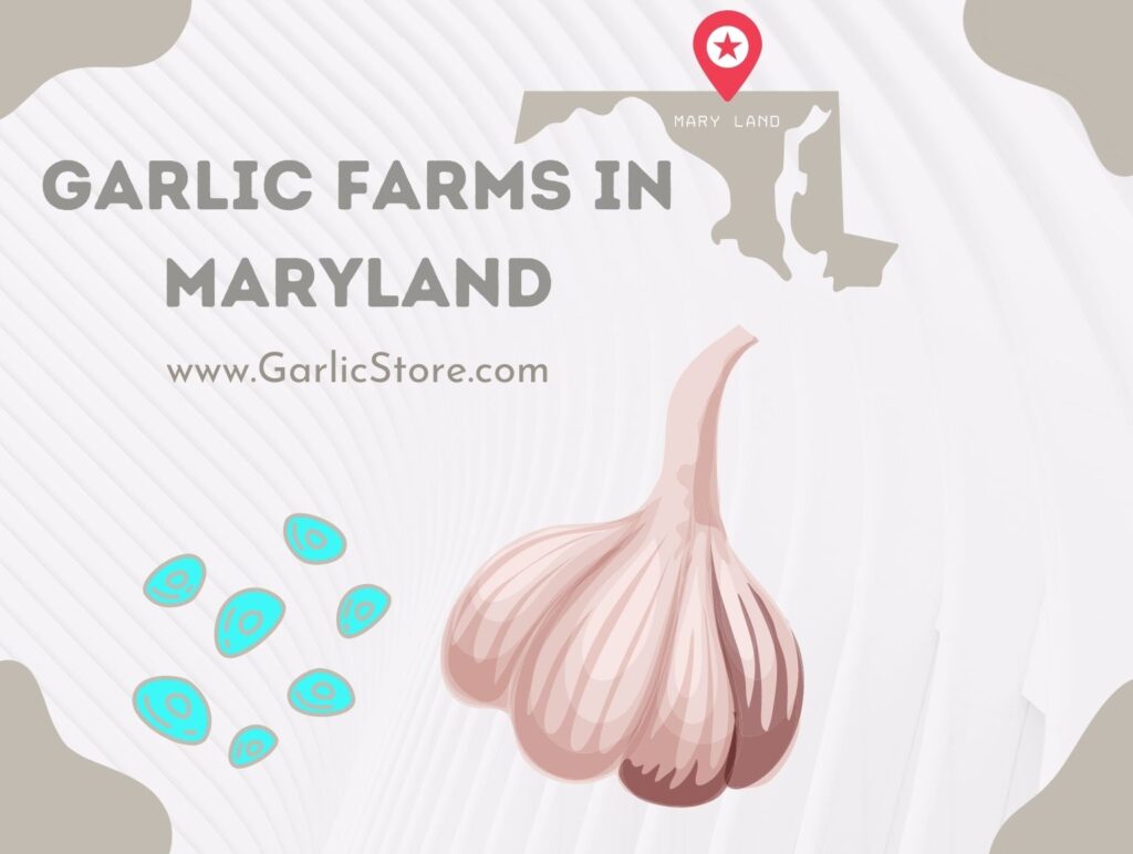 Garlic Farms - Garlic Store