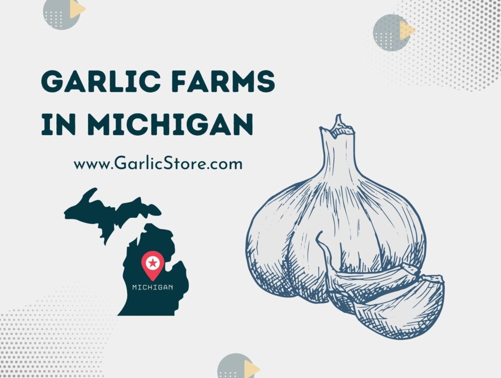 Garlic Farms - Garlic Store