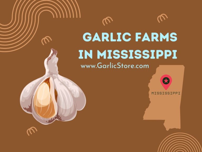 Garlic Farms - Garlic Store
