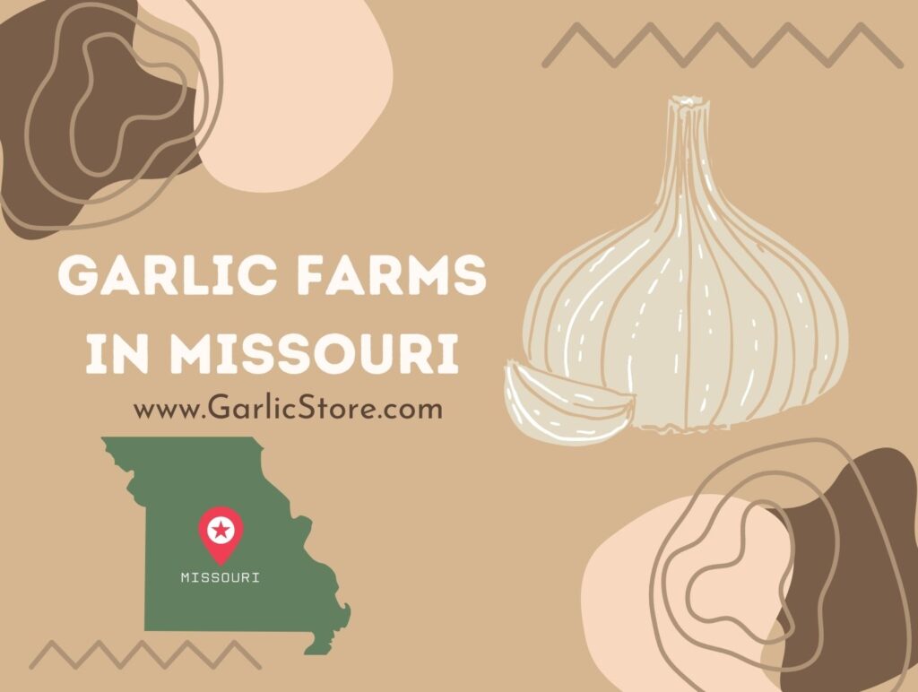 Garlic Farms - Garlic Store