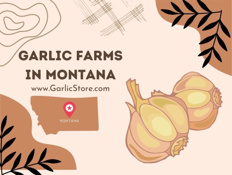 Garlic Farms - Garlic Store