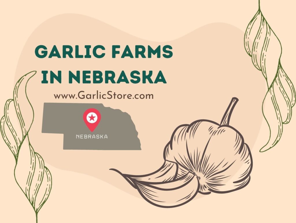Garlic Farms - Garlic Store