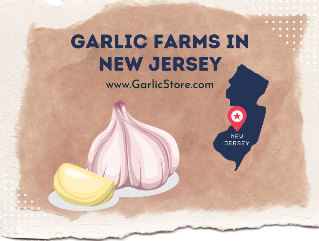 Garlic Farms - Garlic Store