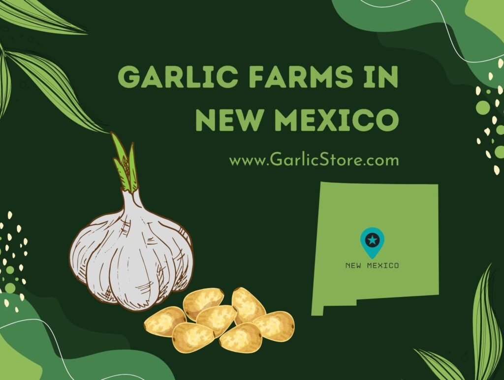 Garlic Farms - Garlic Store
