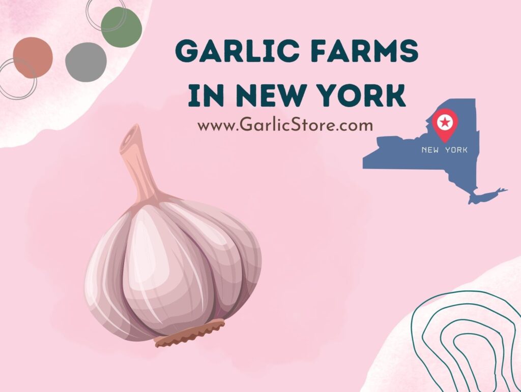 Garlic Farms - Garlic Store