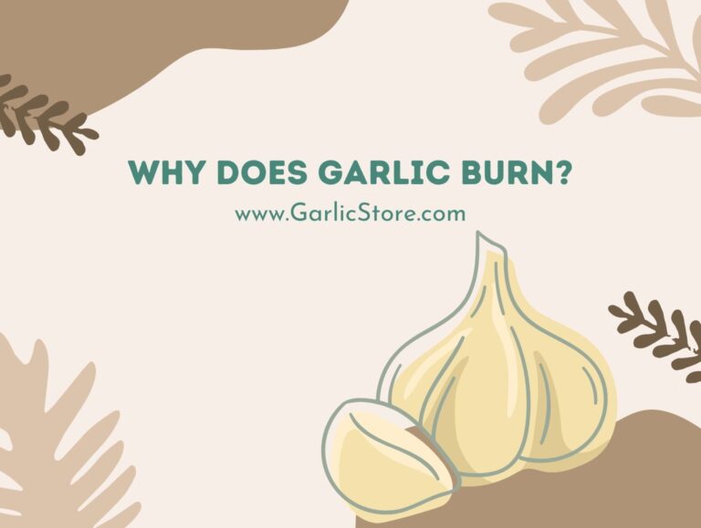 Why Does Garlic Burn? - Garlic Store