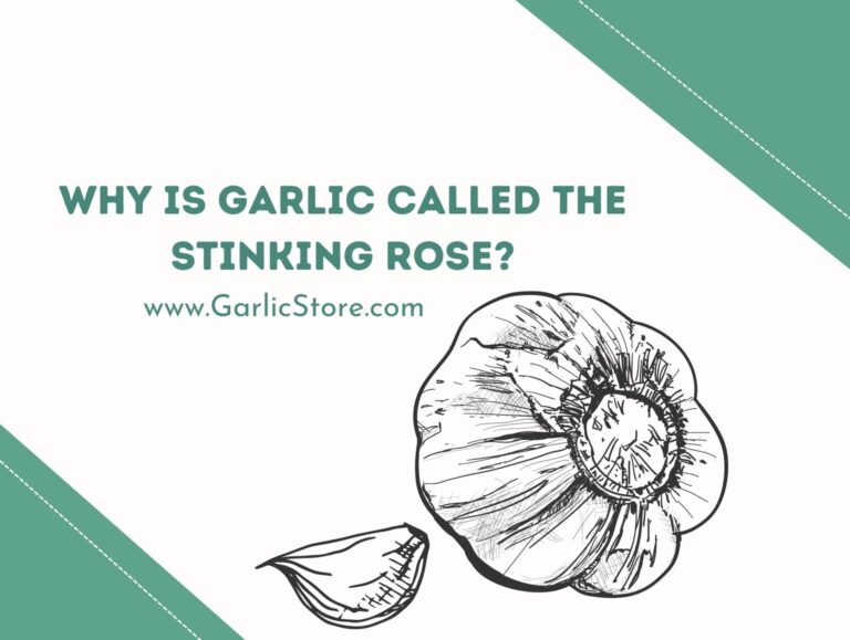 Why is Garlic Called the Stinking Rose? - Garlic Store