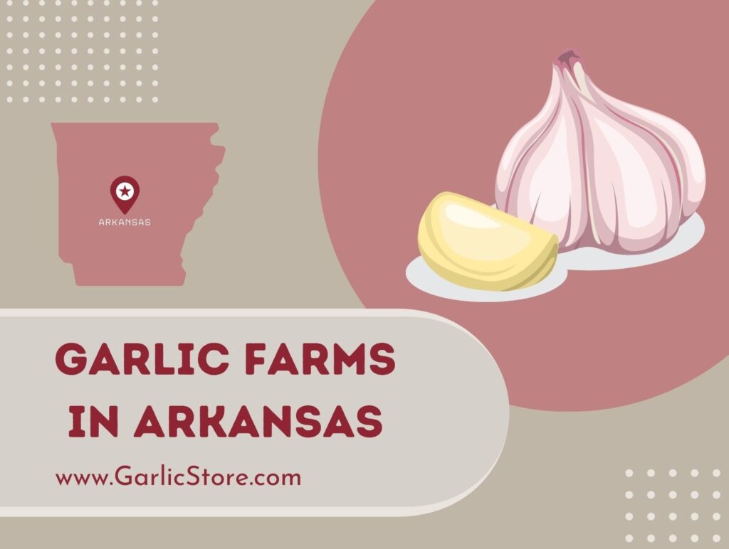 Garlic Farms in Arkansas - Garlic Store