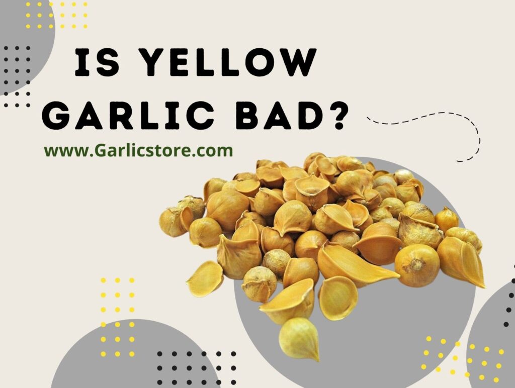 Is Yellow Garlic Bad? All You Need to Know About Garlic Shelf Life and ...